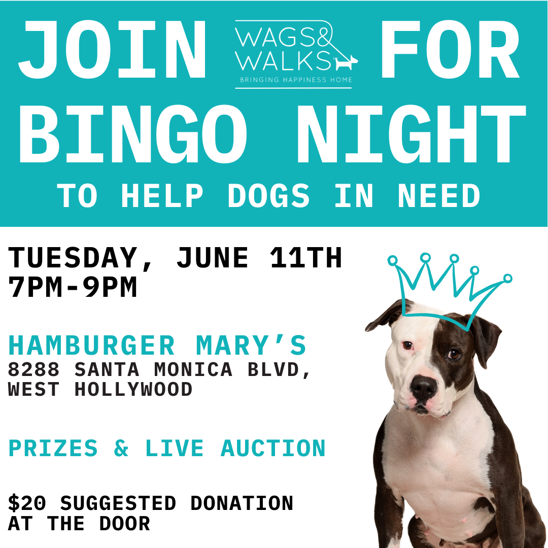 LA Events Calendar — Wags and Walks