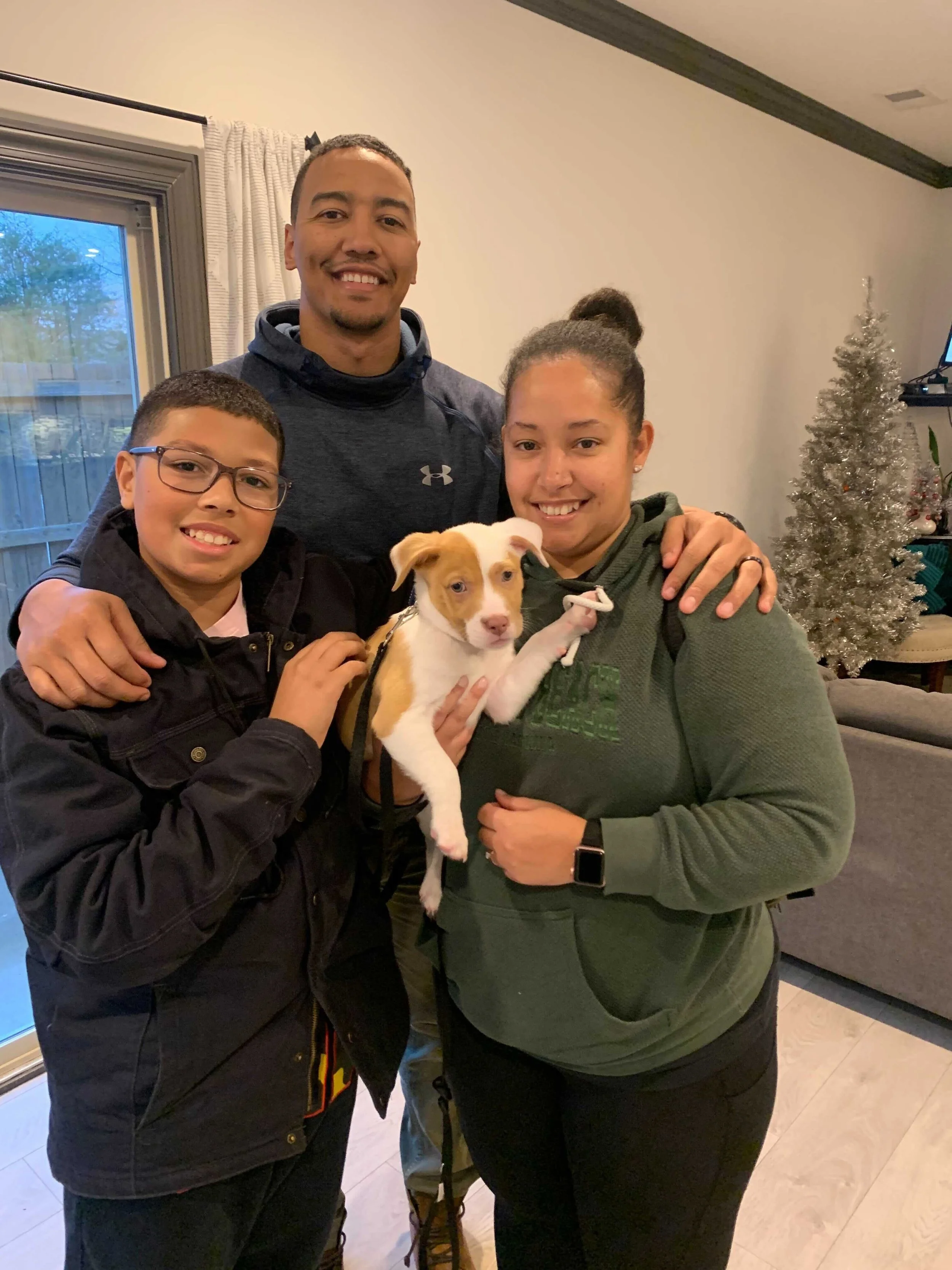 Browse Available Dogs — Wags and Walks