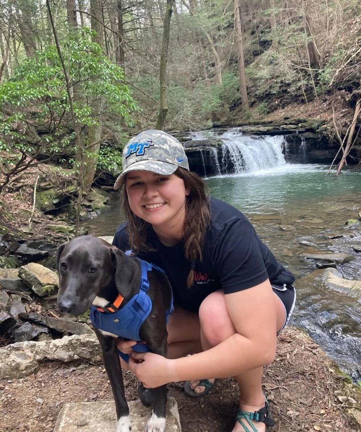 Browse Available Dogs — Wags and Walks