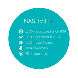 Who We Are — Wags and Walks