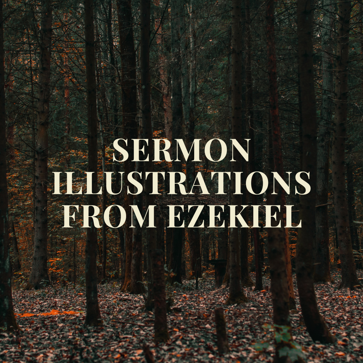 Sermon Illustrations from the book of Ezekiel — Thoughts on Christ