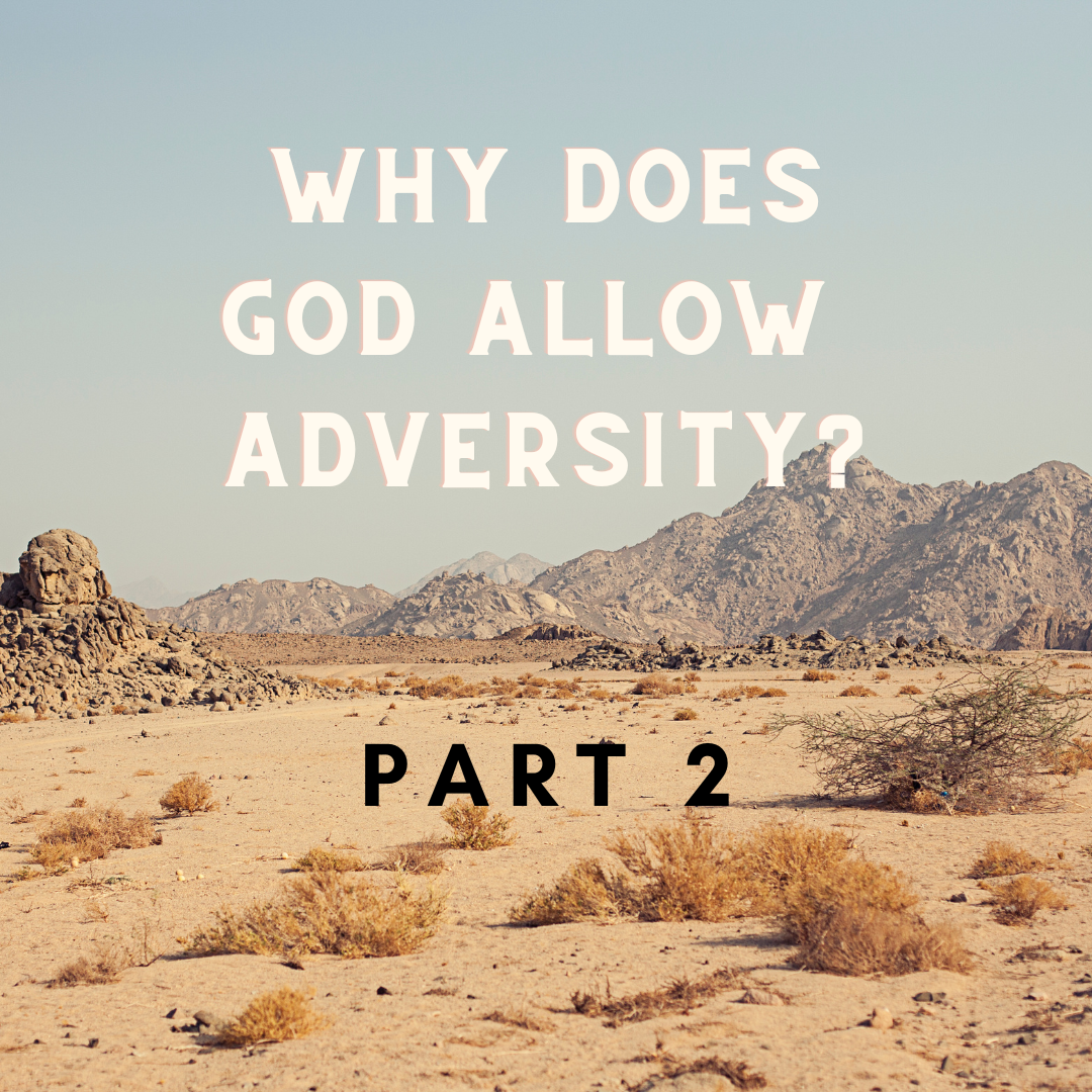 Why does God allow adversity? (Part 2) — Thoughts on Christ