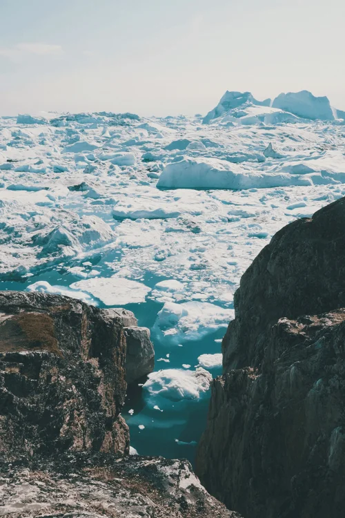 CAAP - What Is COP? — Care About Climate