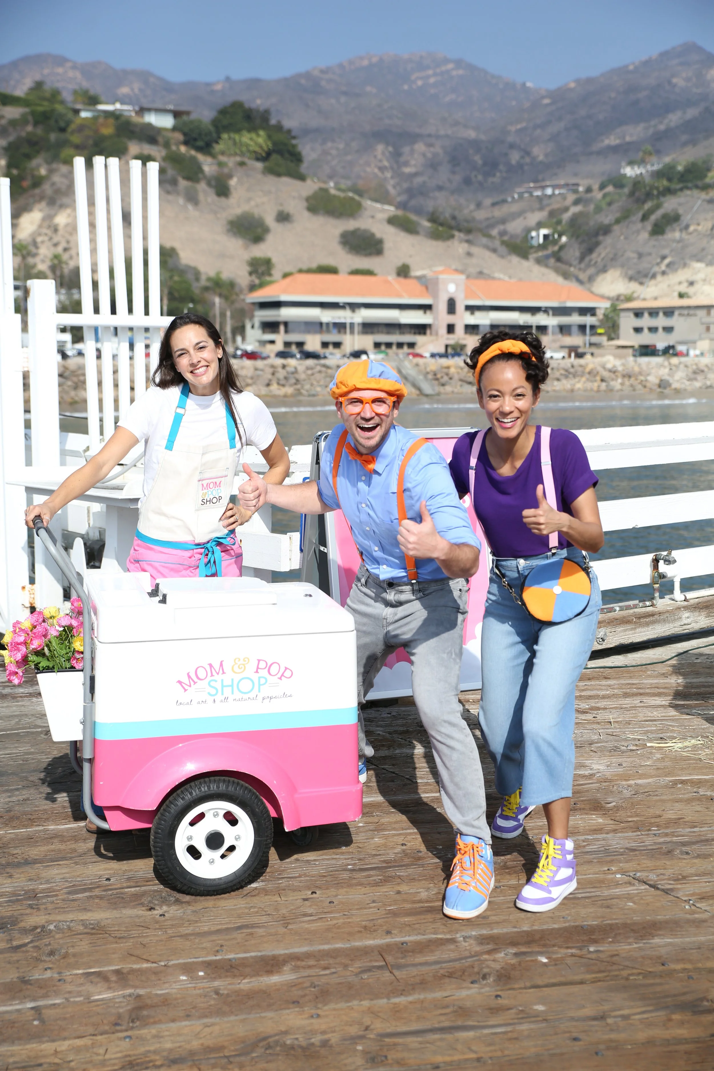 Shop — Mom Pop Shop