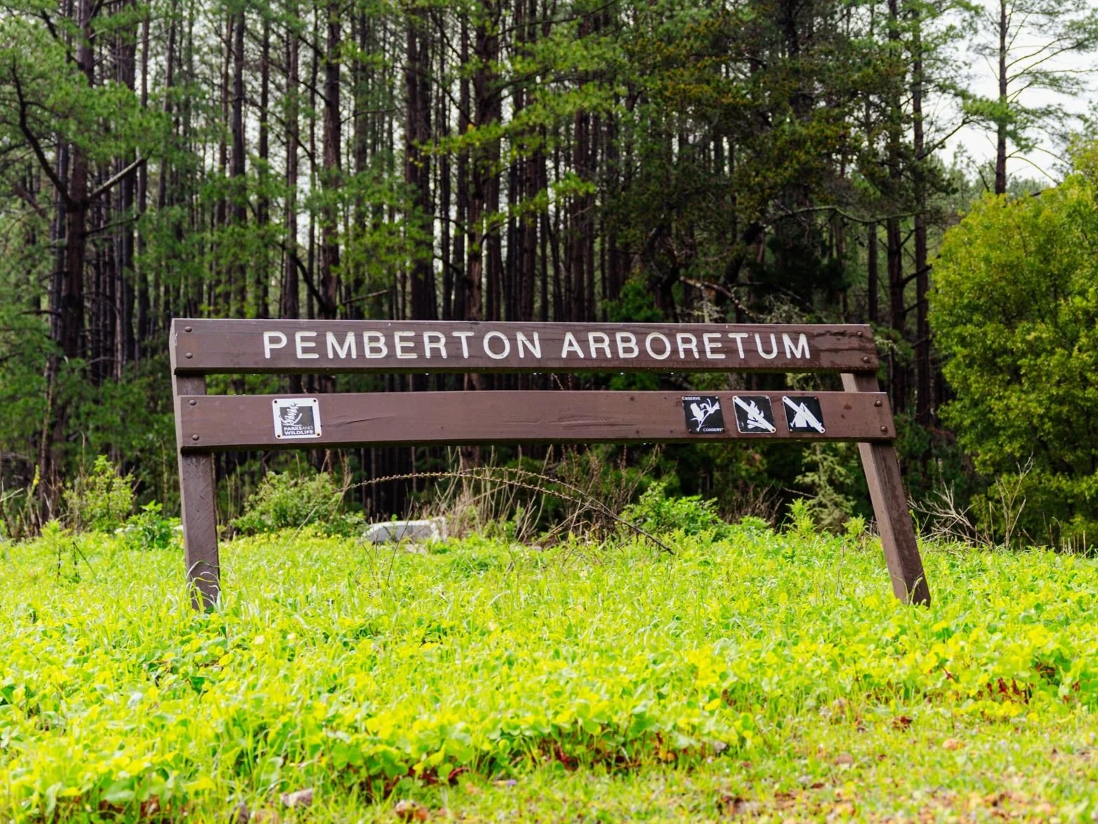 Pemberton — Magic Dirt Trailworx