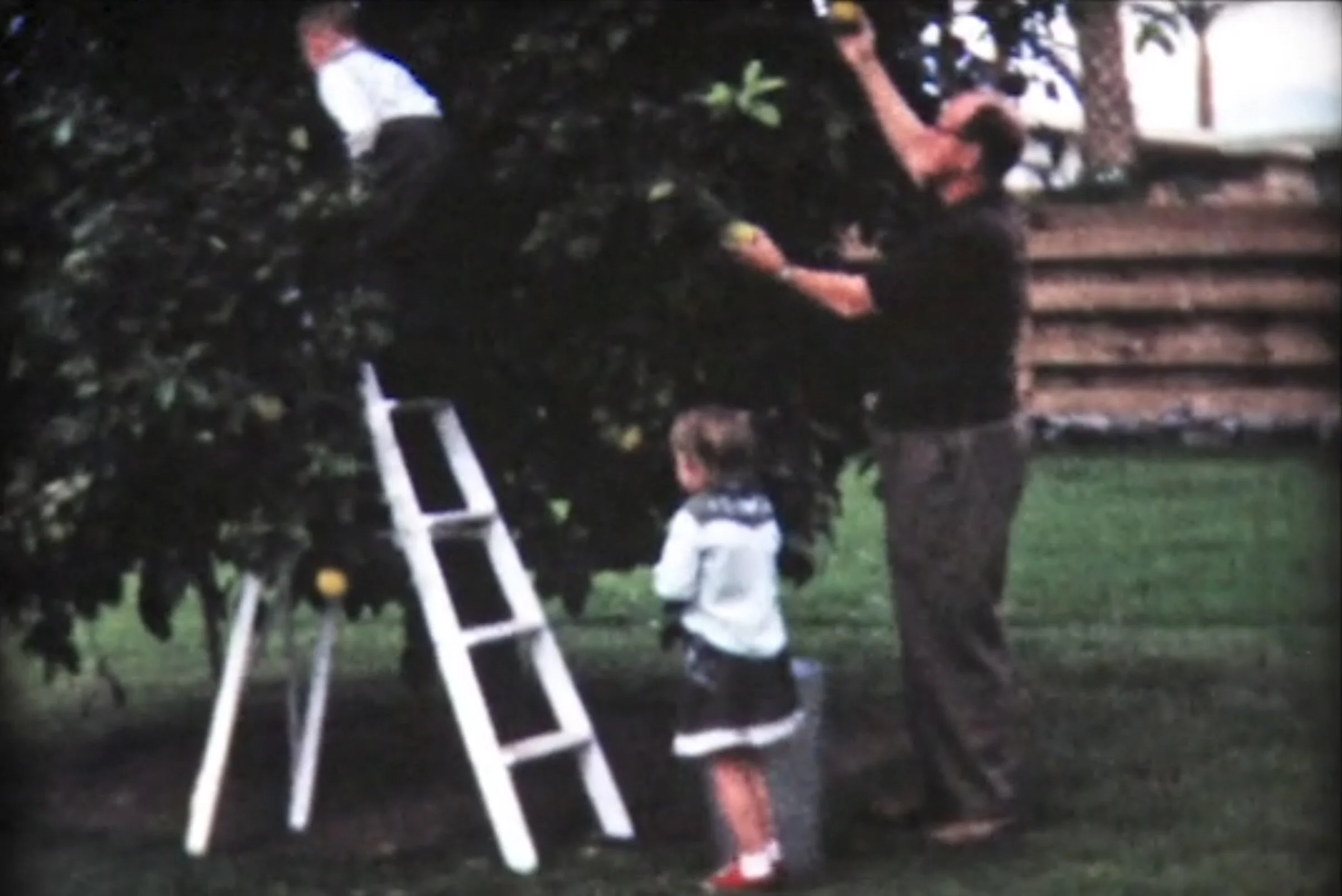 Legacy Video, Family History & Life Story Documentary Video