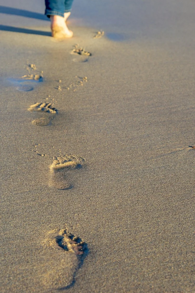 Cross Bay Walk 2025 — The Olive Branch