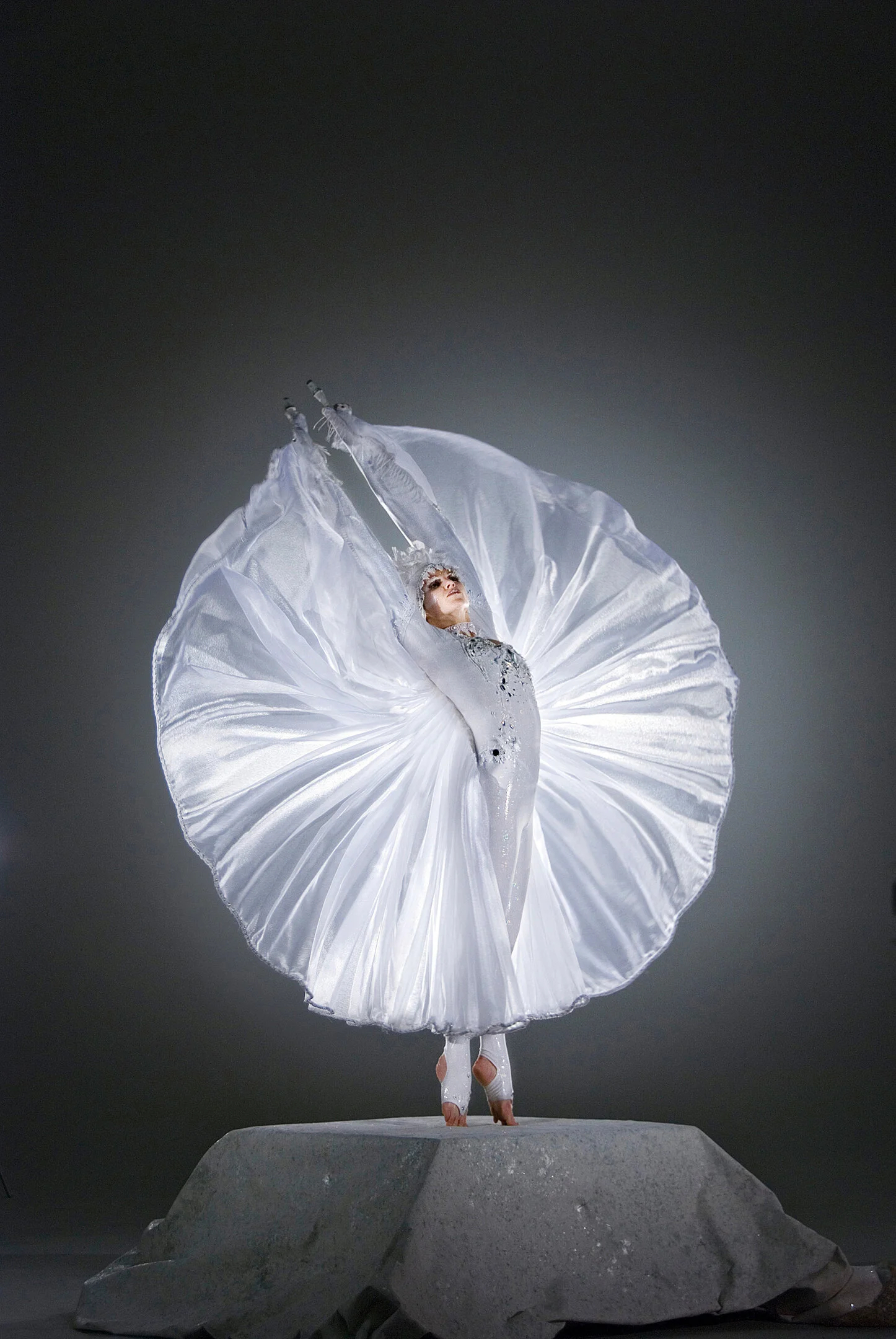 Tumbellina — André Pattenden Photography