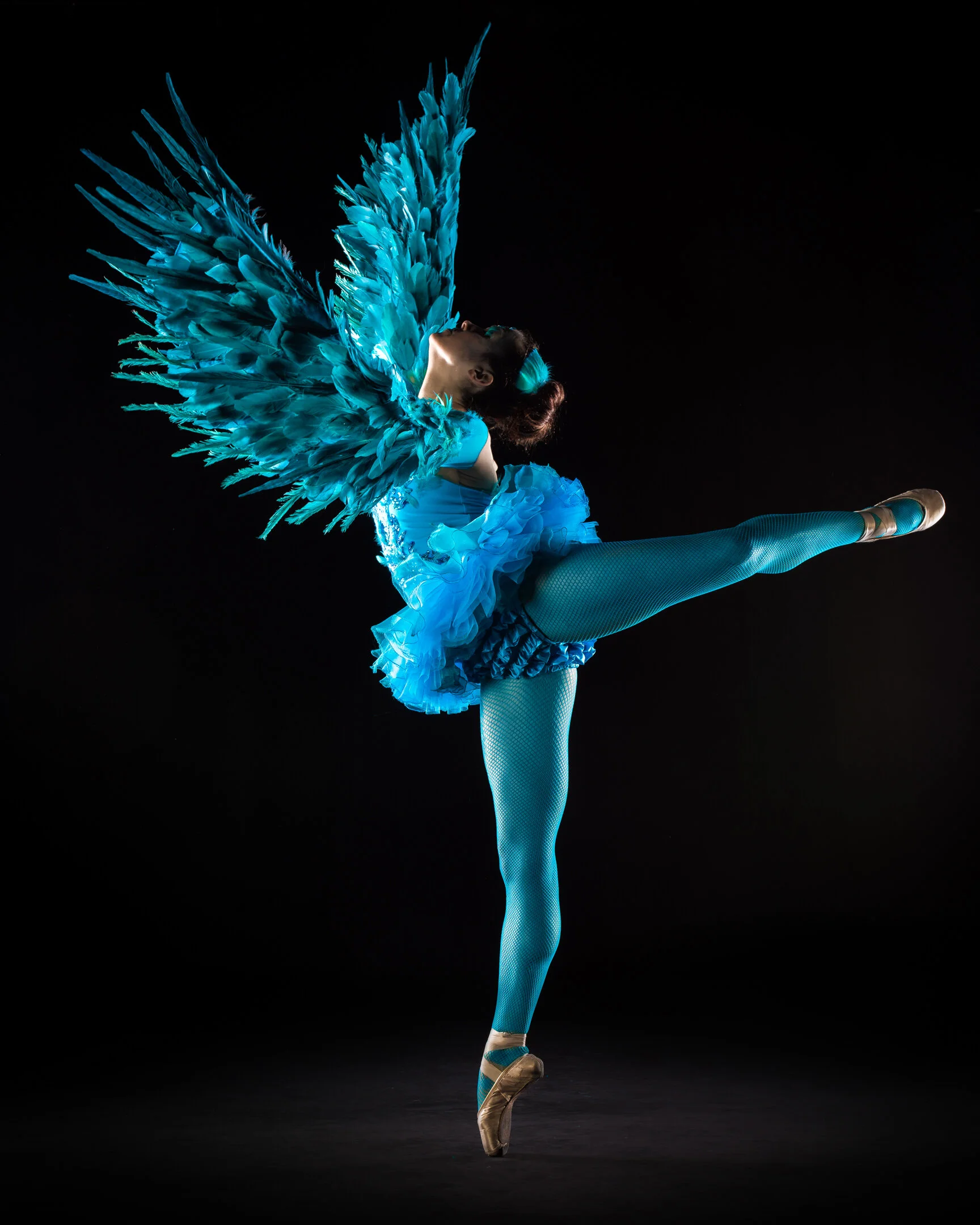 Tumbellina — André Pattenden Photography