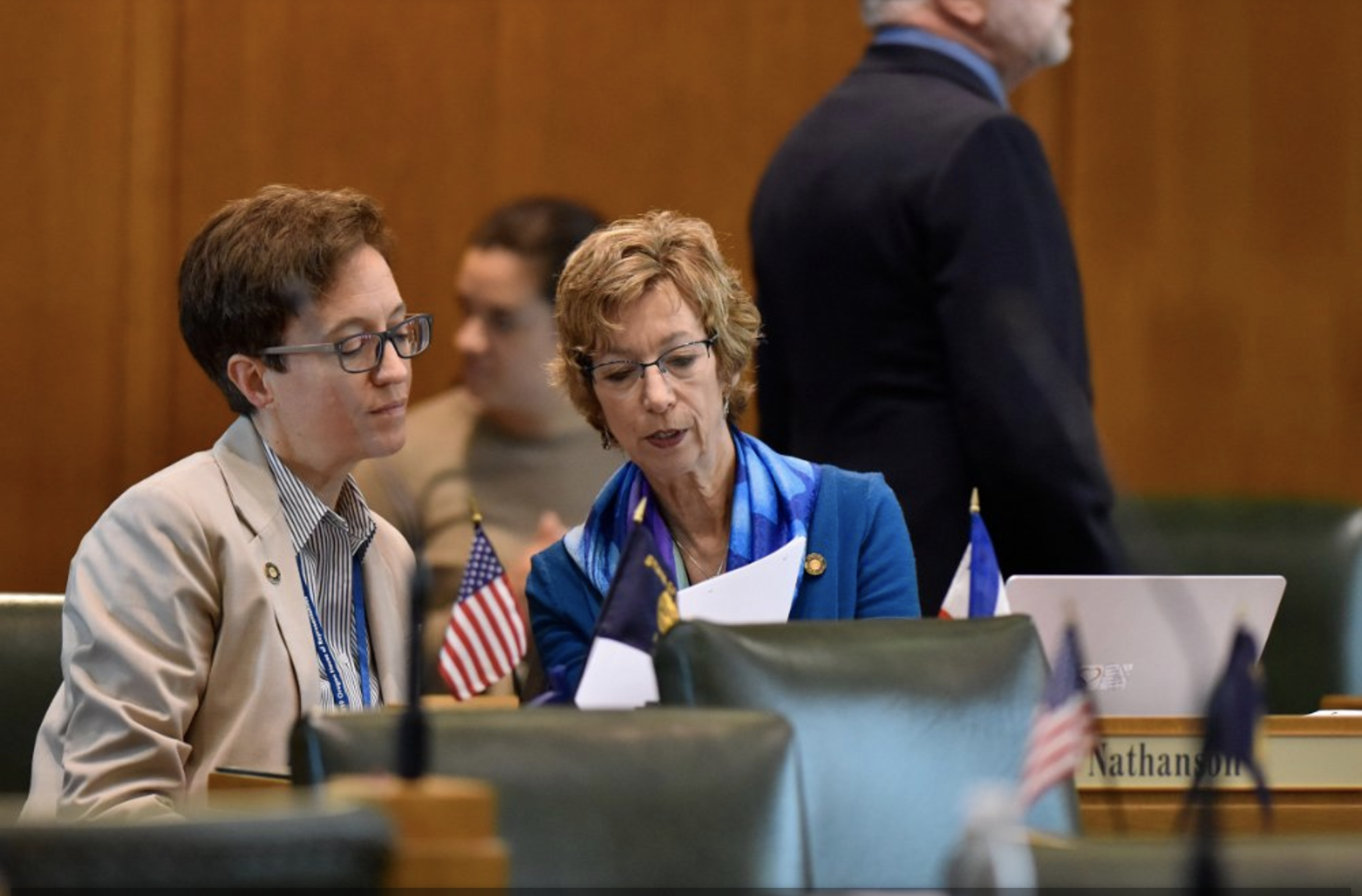 Background — Rep. Nancy Nathanson