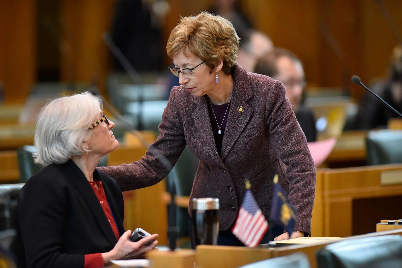 Priorities — Rep. Nancy Nathanson