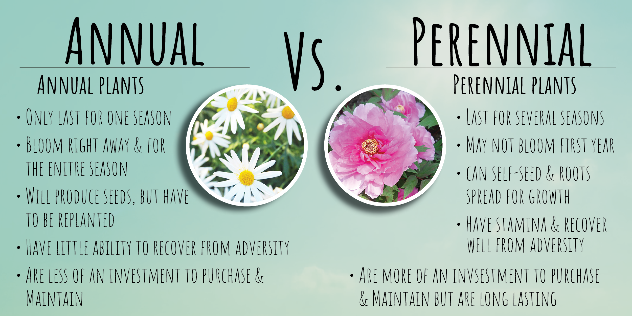 Annual vs perennial. — Community Development Professionals