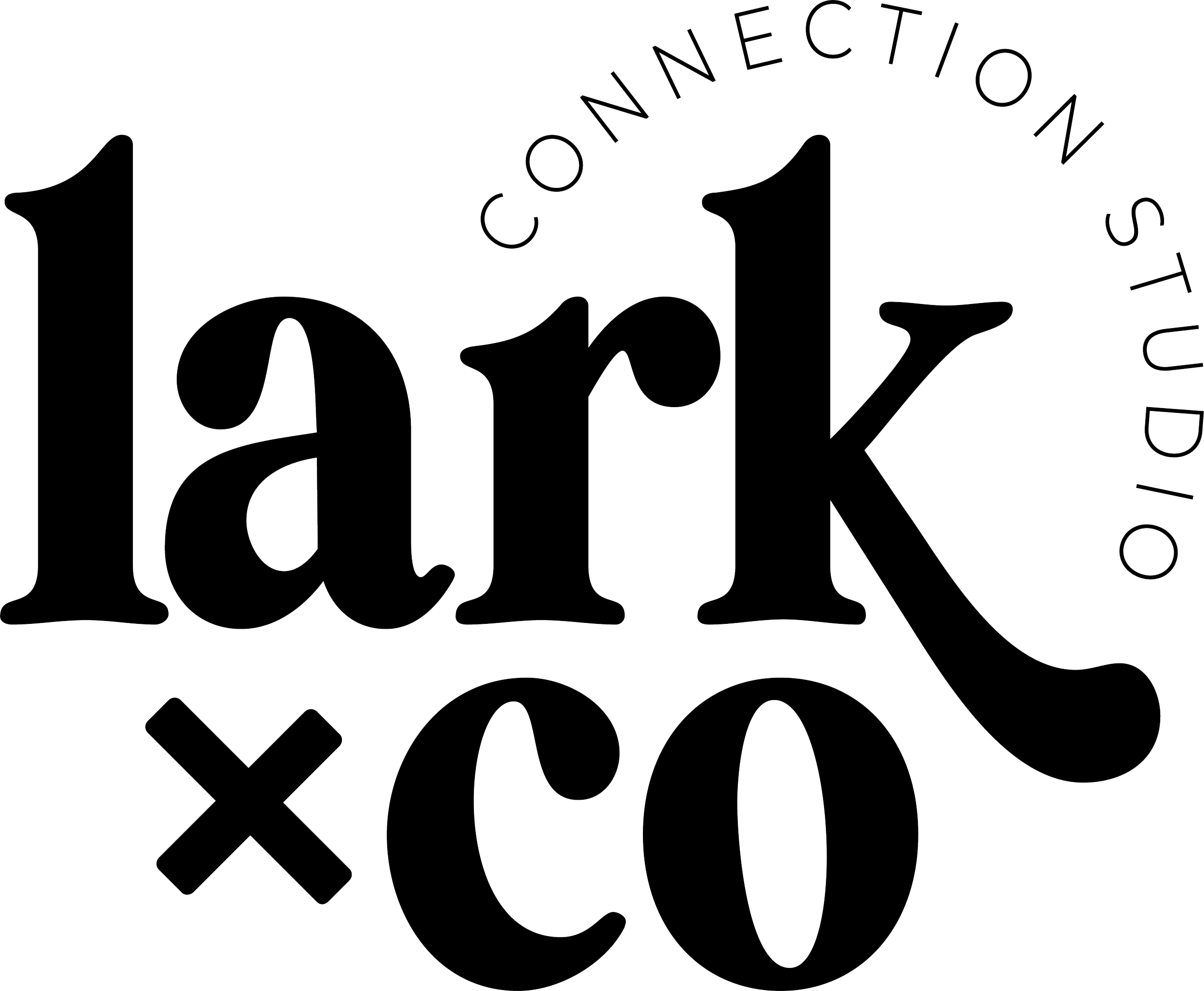 Lark x Co Connection Studio