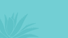 Our Food — Azul Tequila Mexican Cuisine