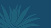 Our Food — Azul Tequila Mexican Cuisine