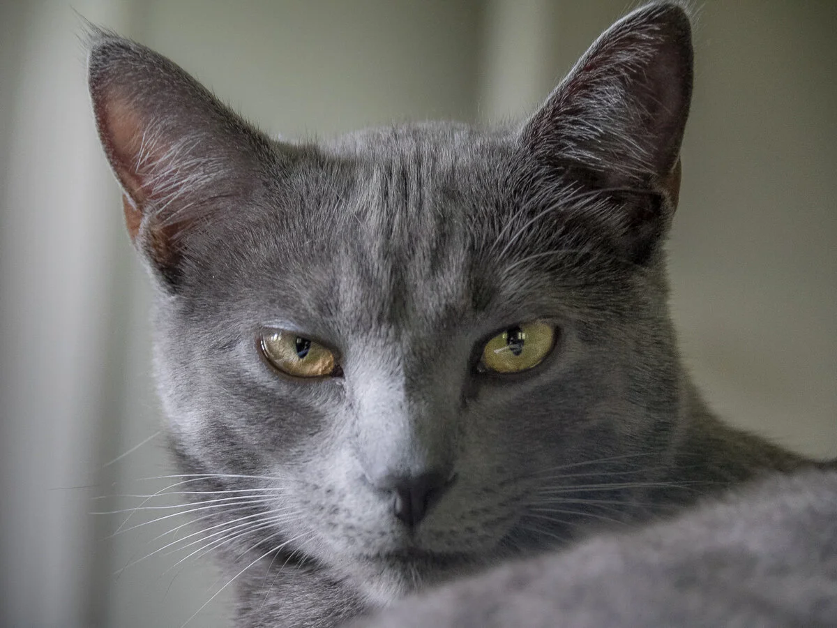 Faces — Lewis Katz Photography