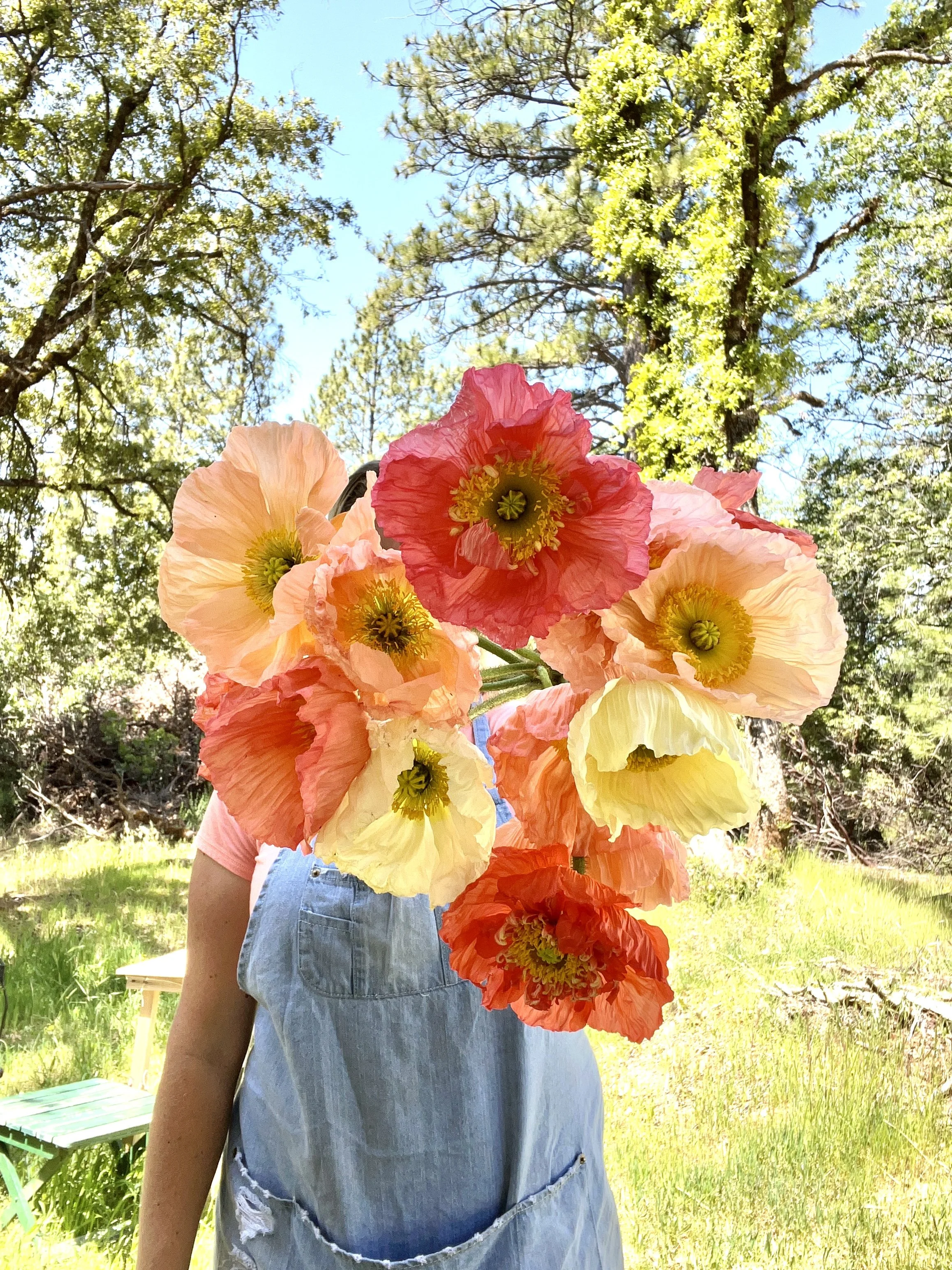 Garden Valley Flower Farm