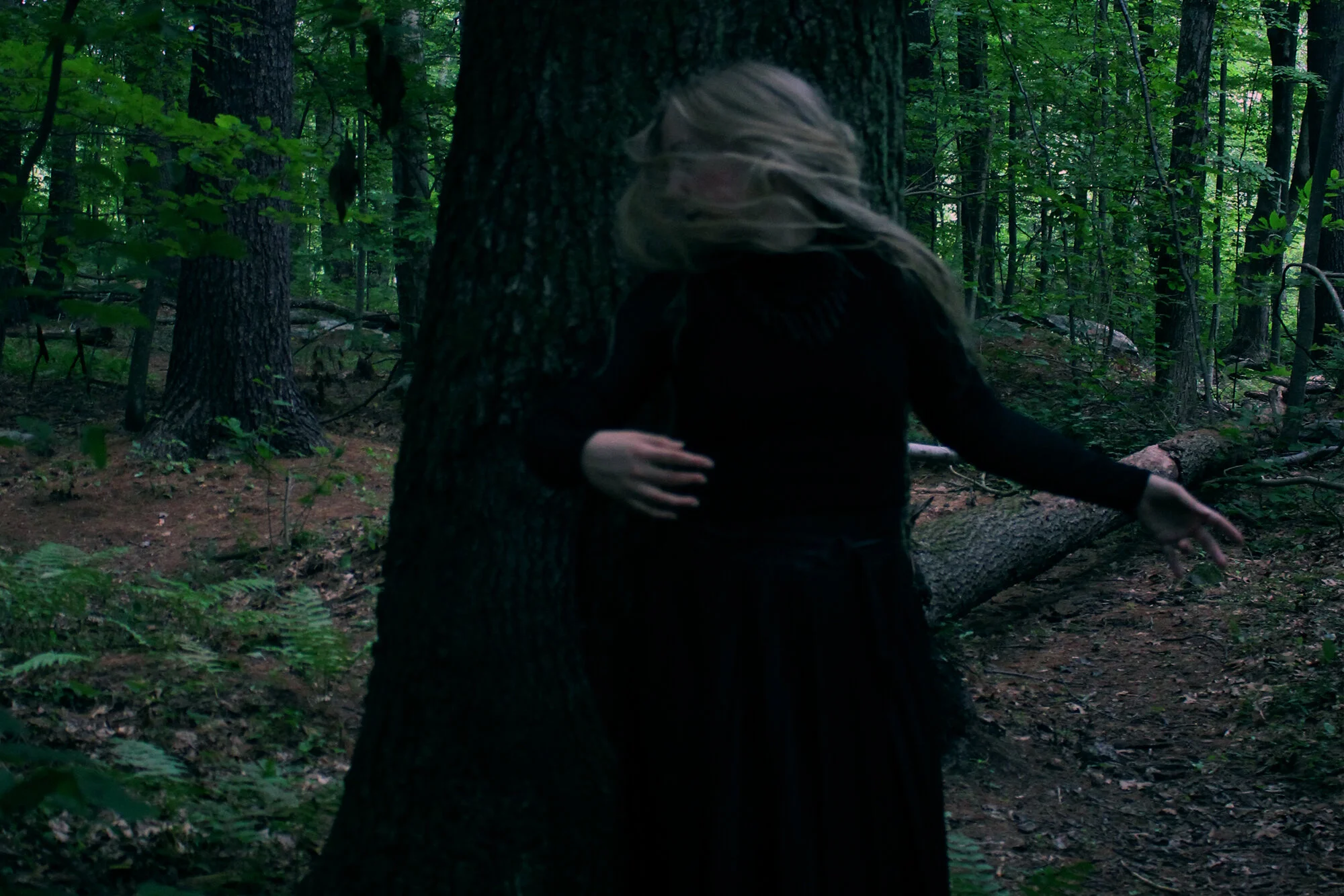 The Artist — Sam Guay