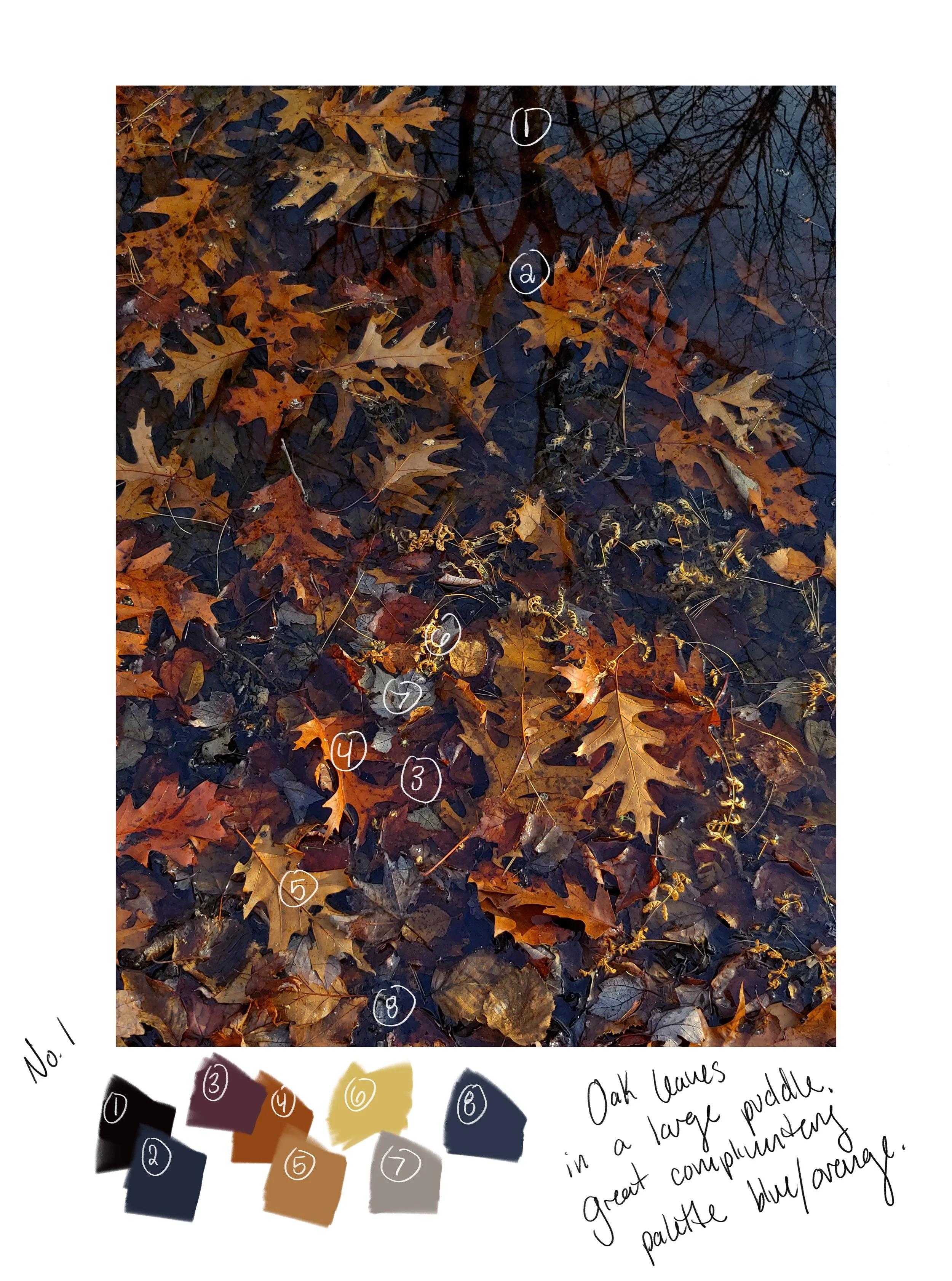 Nature Walk — Sam Guay