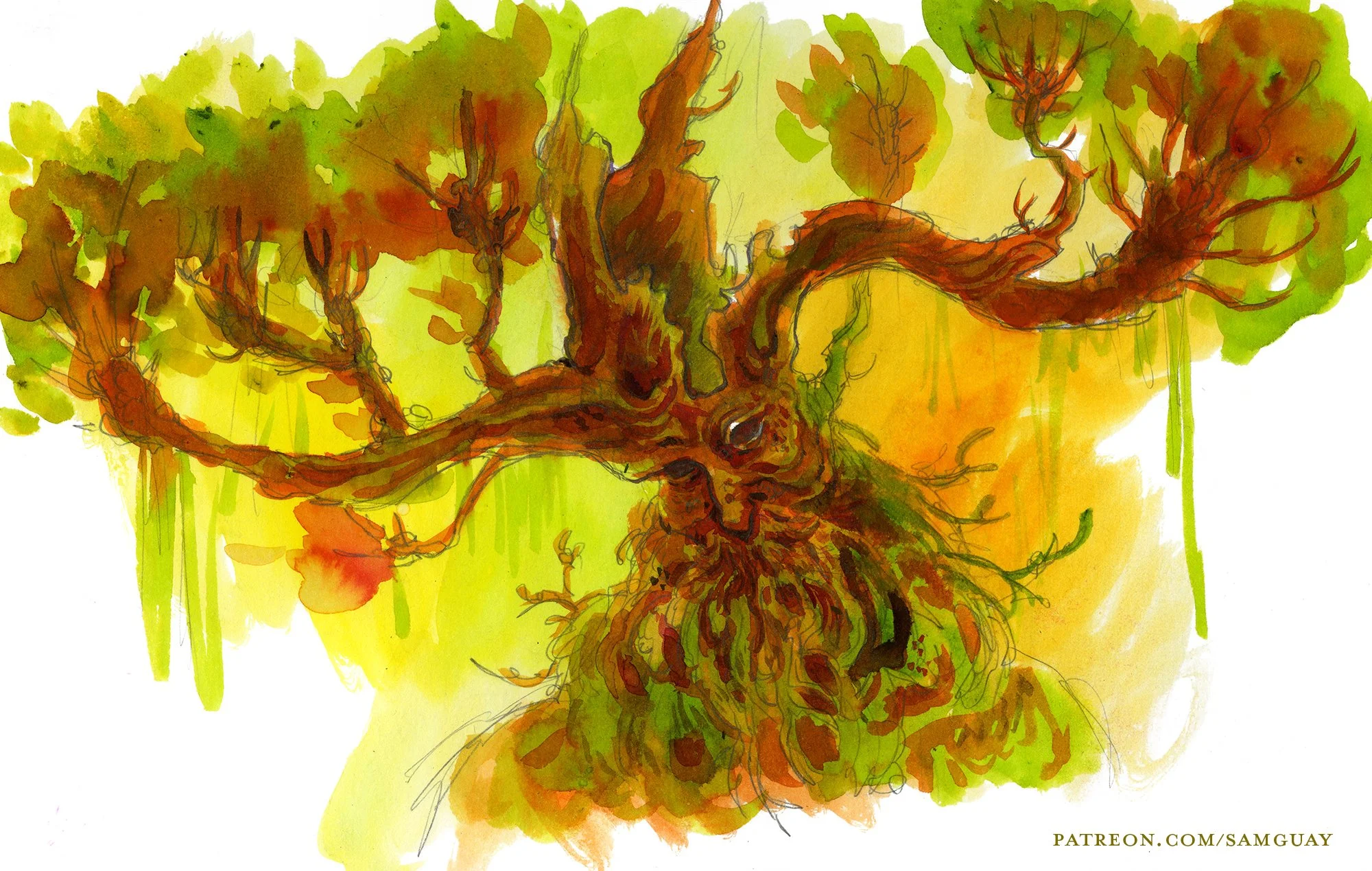 Sketches: Vivia Vs My Usual — Sam Guay