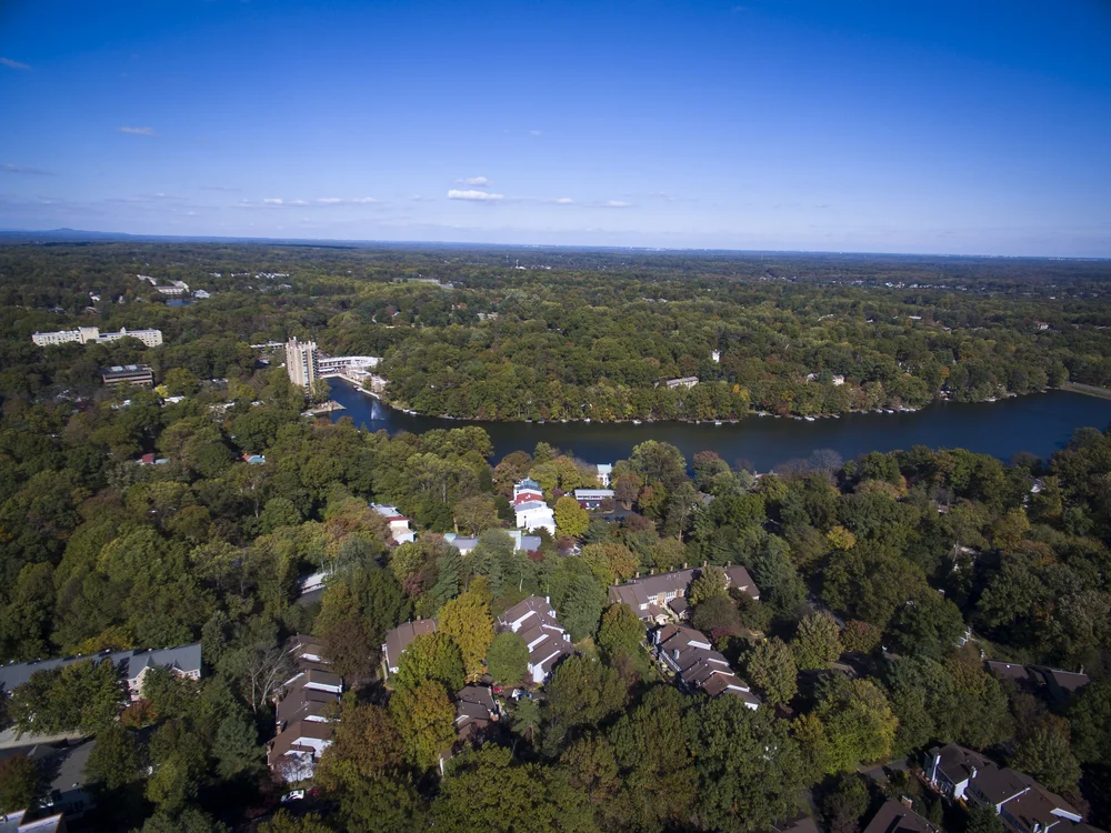 Reston Association