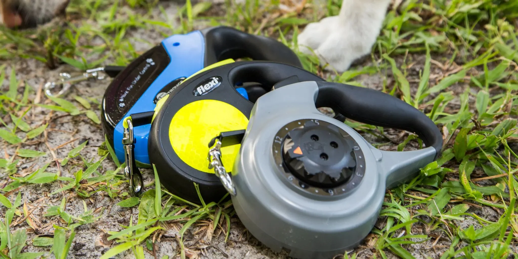 Dangers of Using a Retractable Leash — Funky Bunch Pet Care LLC