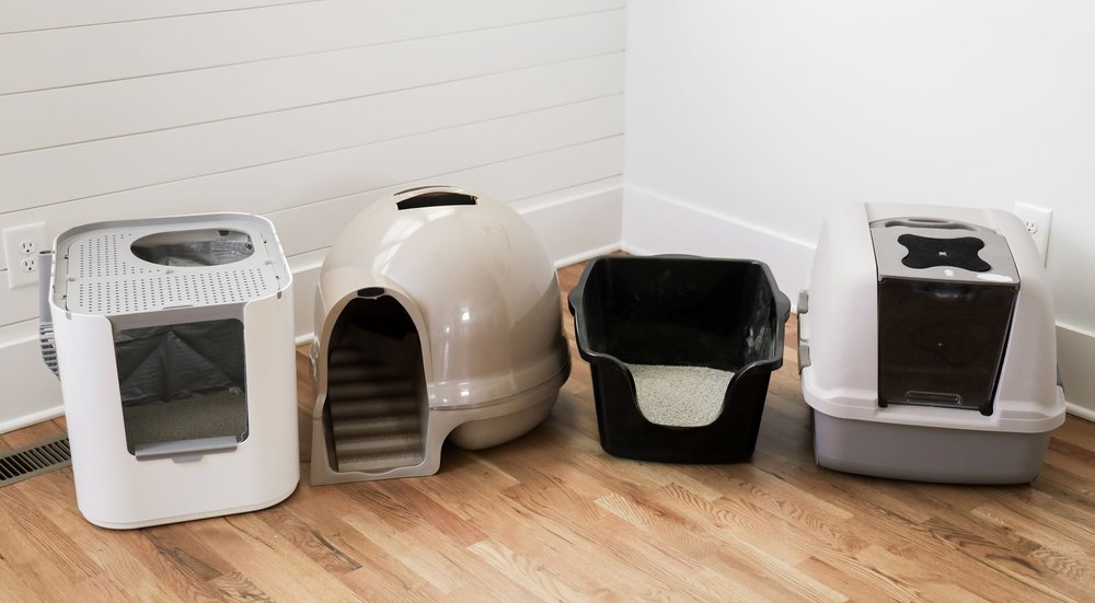 The Ultimate Guide to Litter Boxes: How Many, How Often, and How to ...
