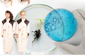 Catalyst Fund — Reaction