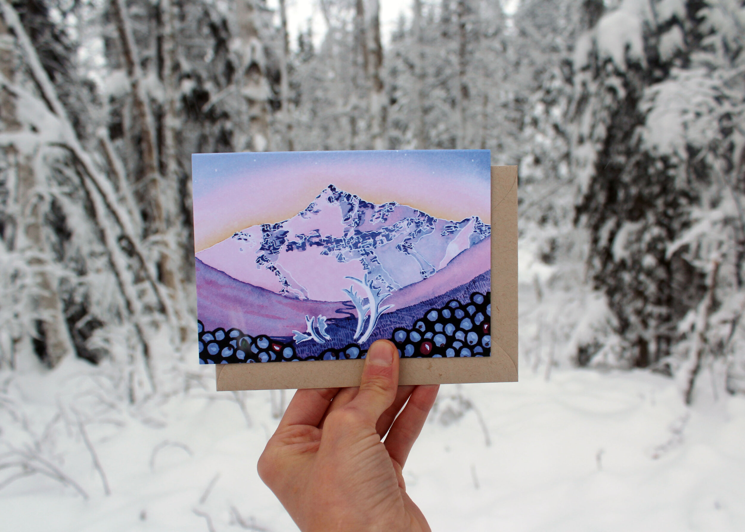 Ice Pack Greeting Cards — JILL RICHIE ART