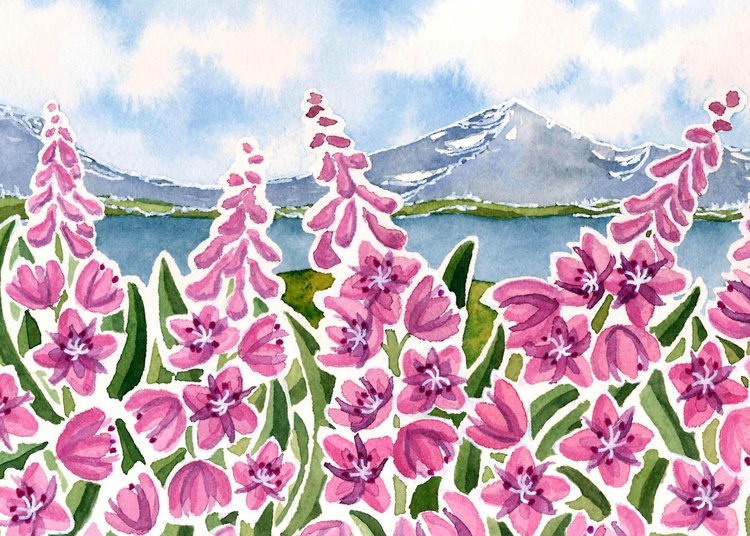 ALASKA CONSERVATION FOUNDATION — JILL RICHIE ART