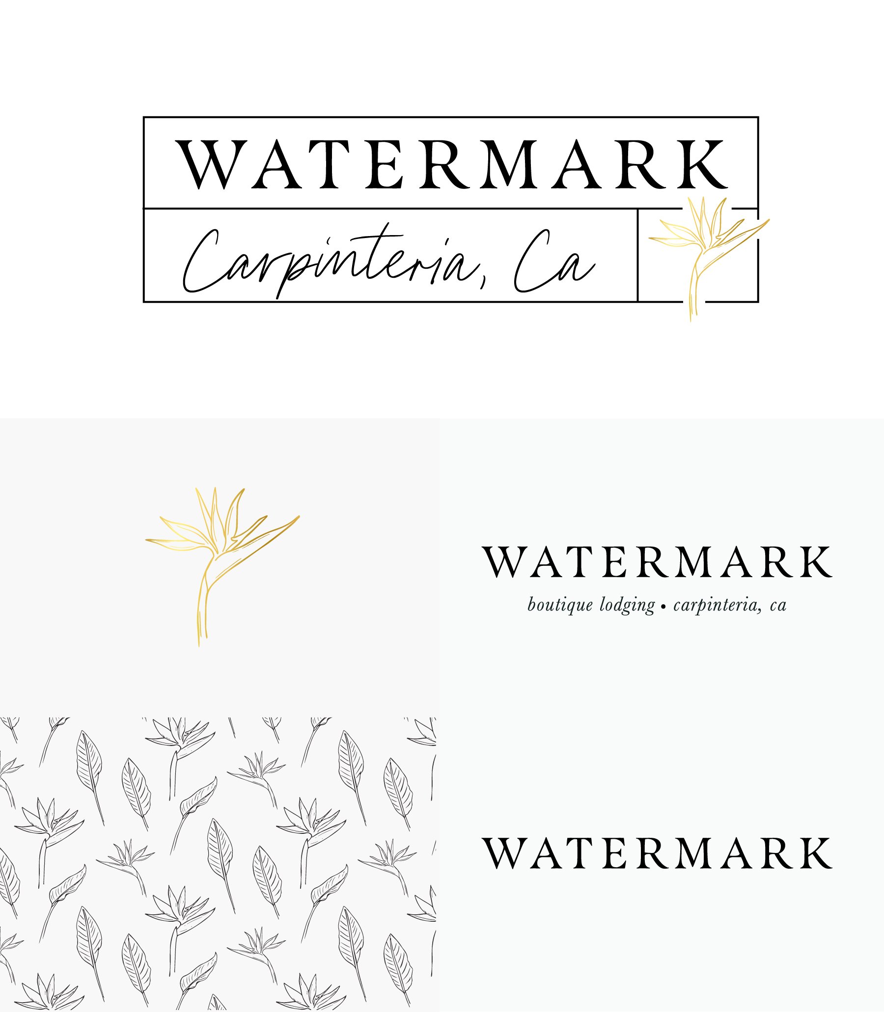 What to Look for In a Brand Agency — Studio Seaside