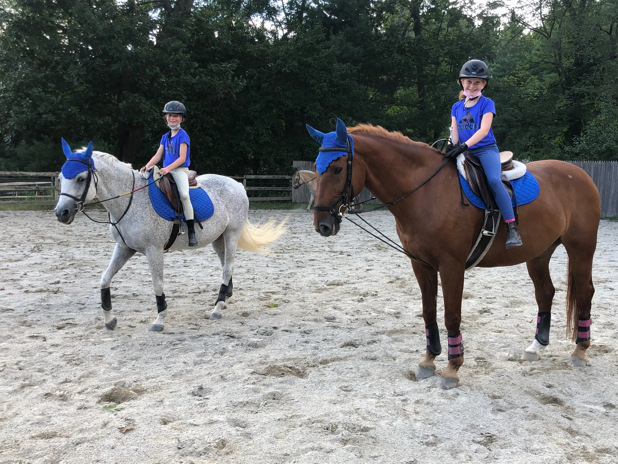 Lessons — Wildflower Stables