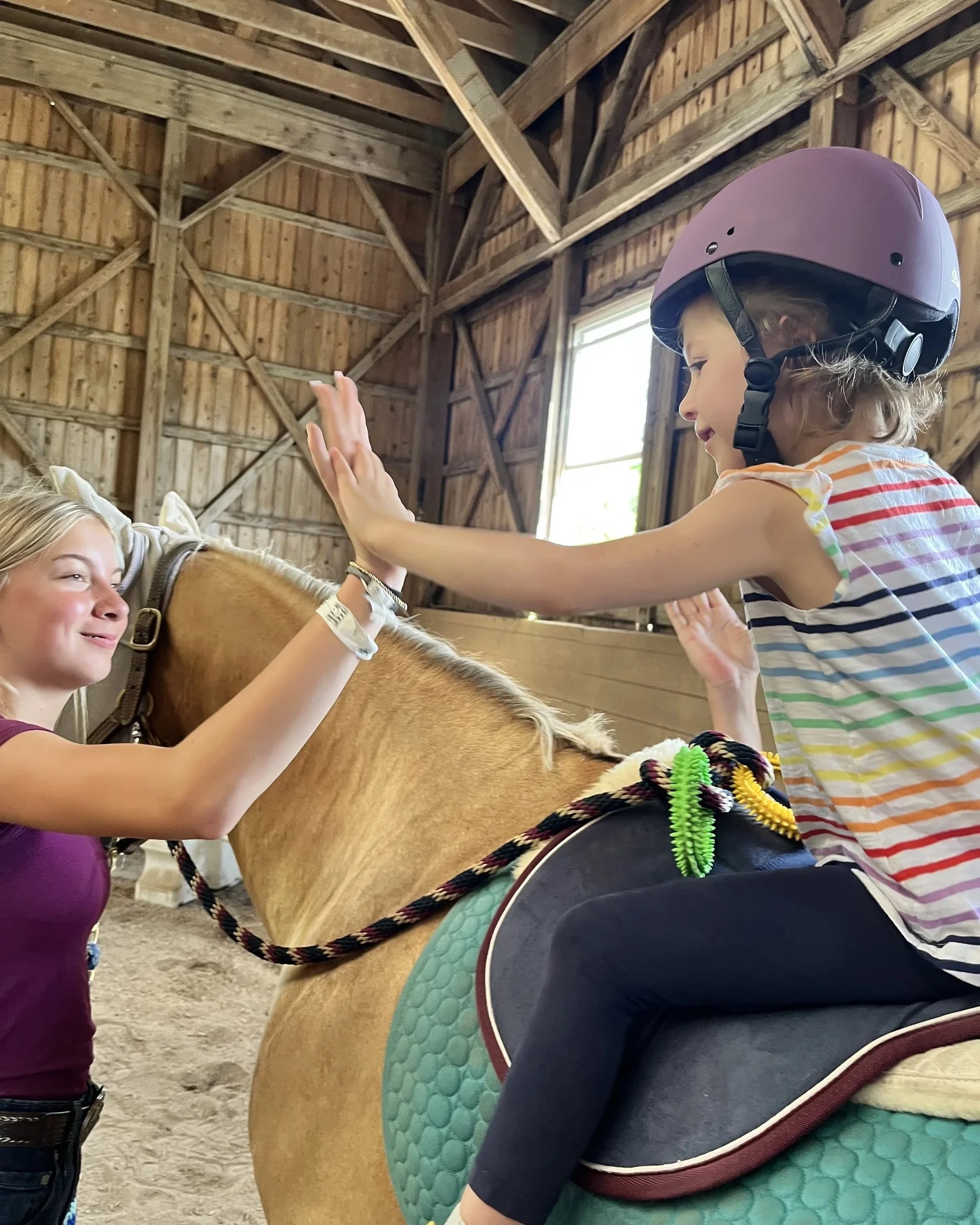 Wildflower Stables