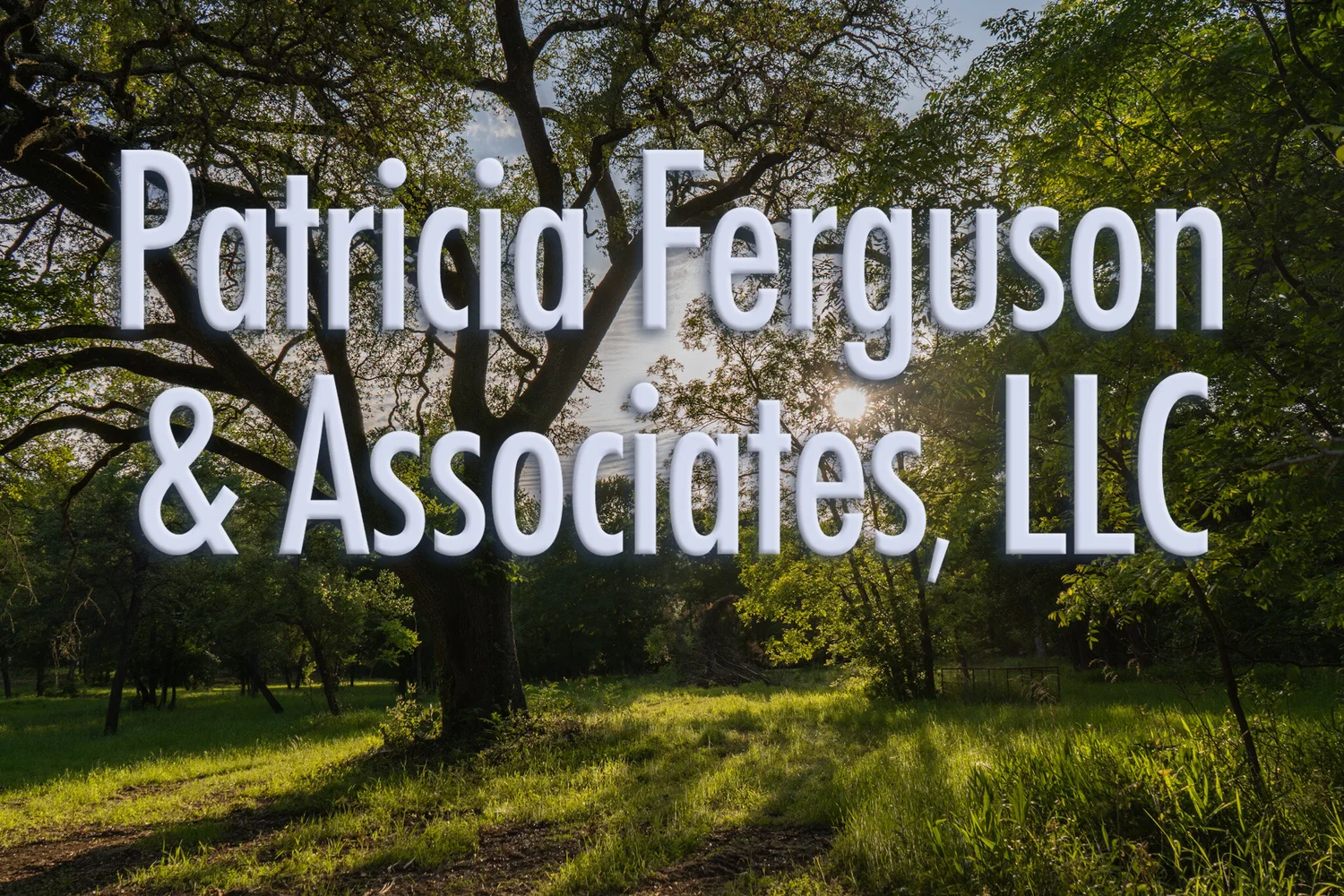 Patricia Ferguson & Associates, LLC