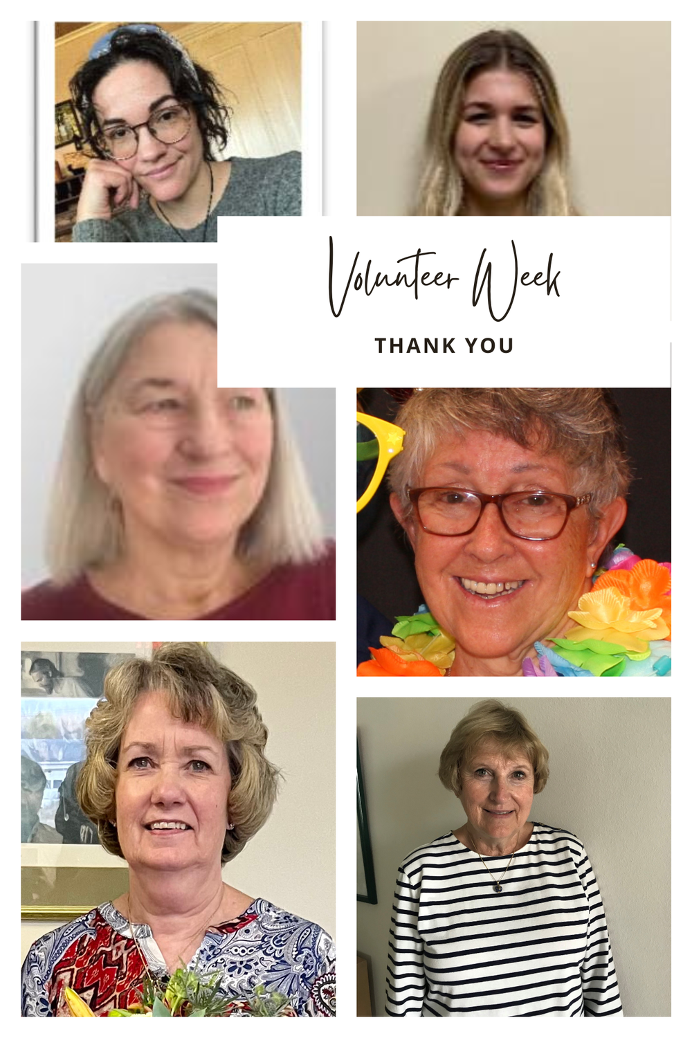 Thank You Volunteers! — Hospice of the North Country