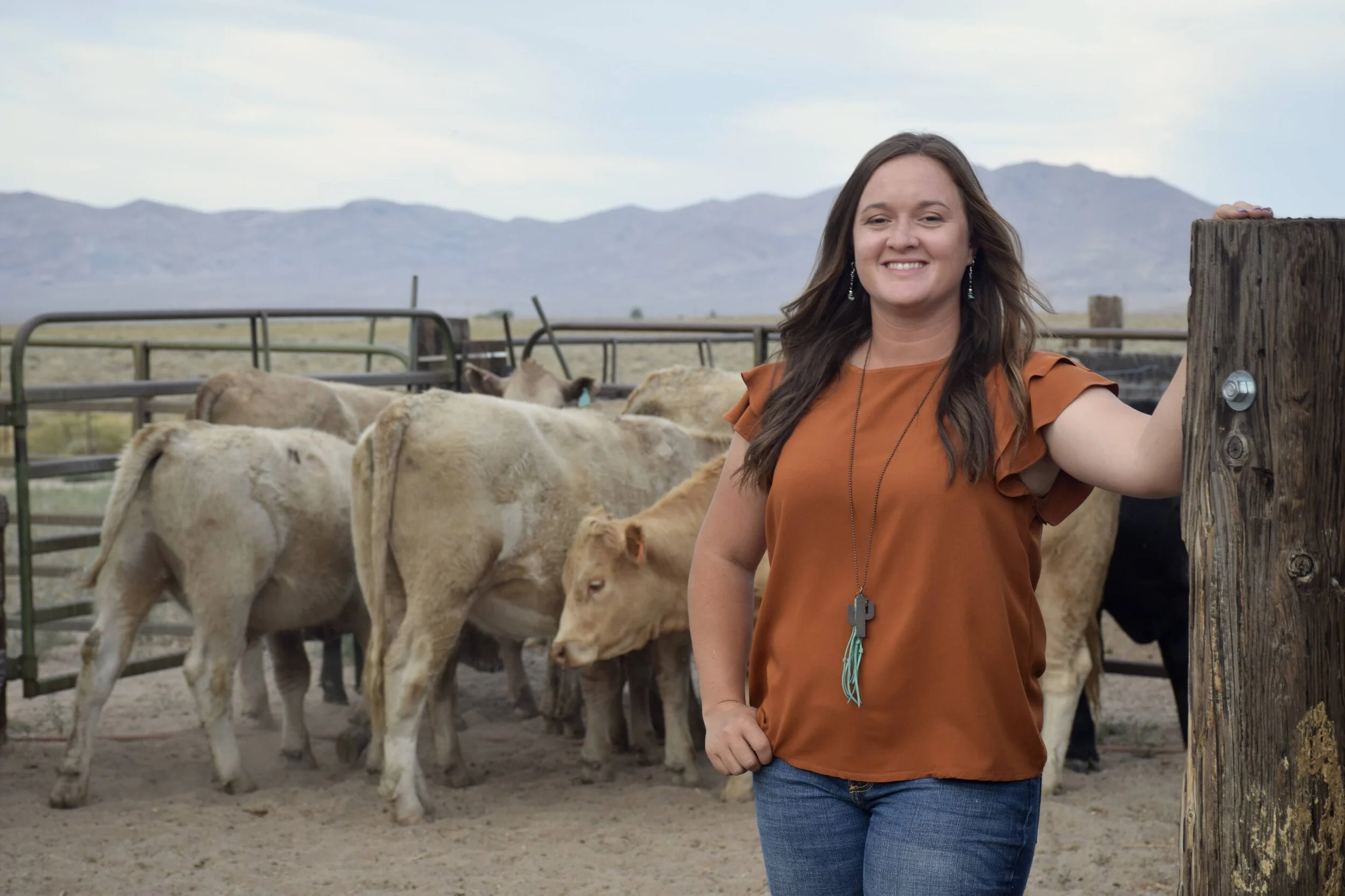 Big Dipper Sunrise Ranch