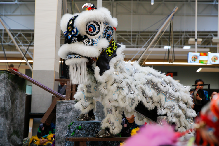 Services | Houston Lion and Dragon Dance — SOARING PHOENIX 美國翔鳳龍獅會