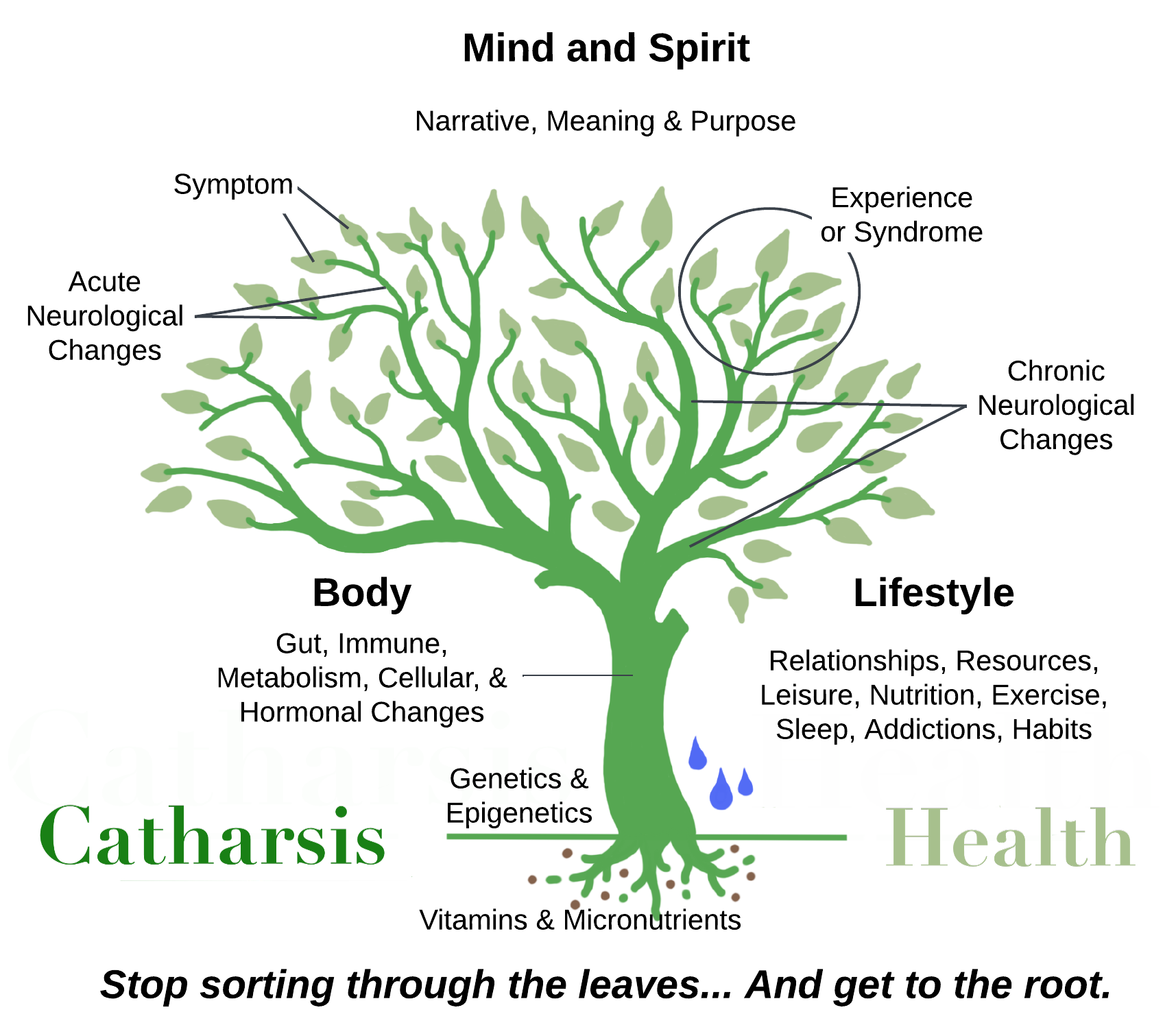 Catharsis Health │ Outpatient Psychiatry