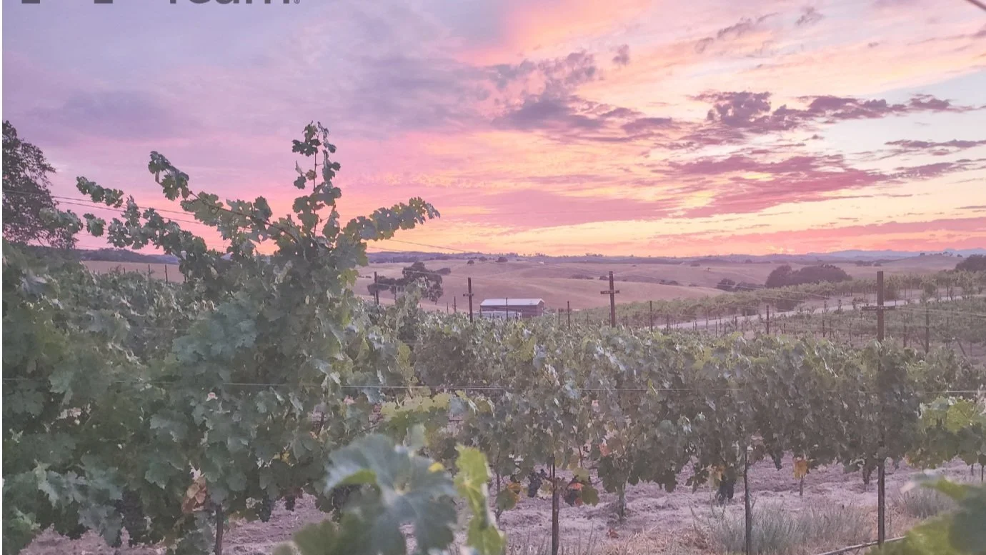 Buy Bold Red Wine Online | Thin Blue Wine – Veteran-Owned Winery