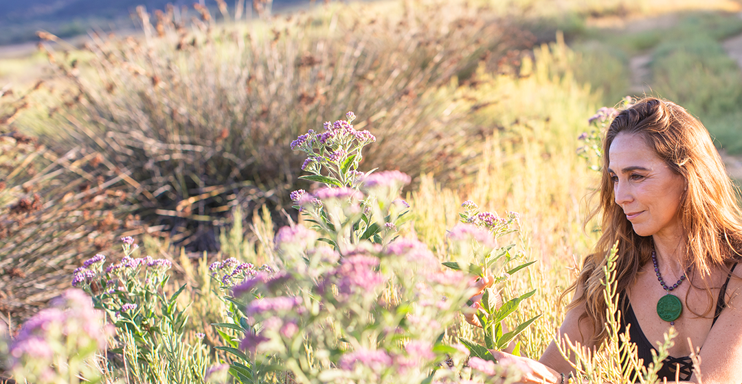 Tiffany Scruggs Wellness