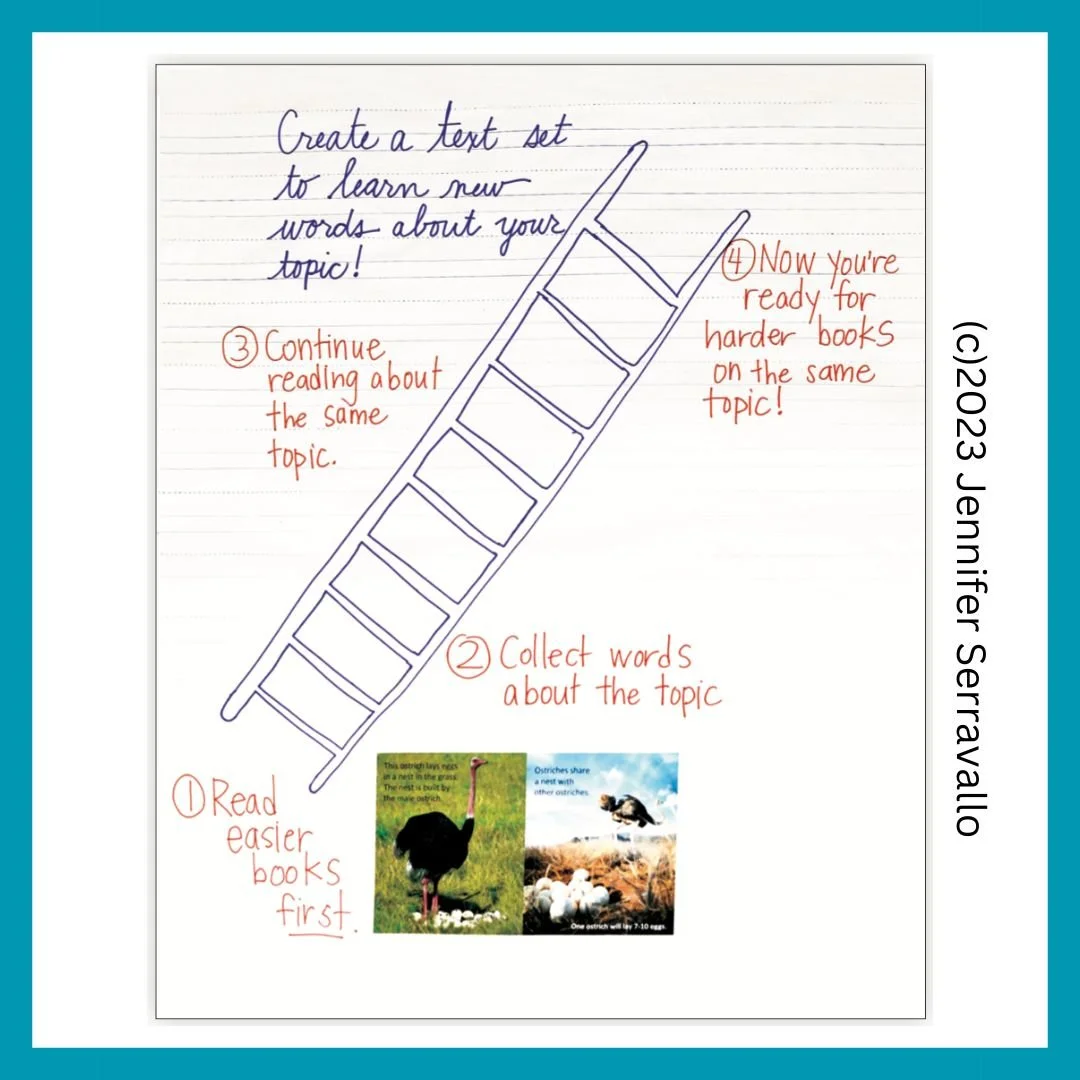 Using Vocabulary Strategies for Independent Word Learning | Jennifer ...