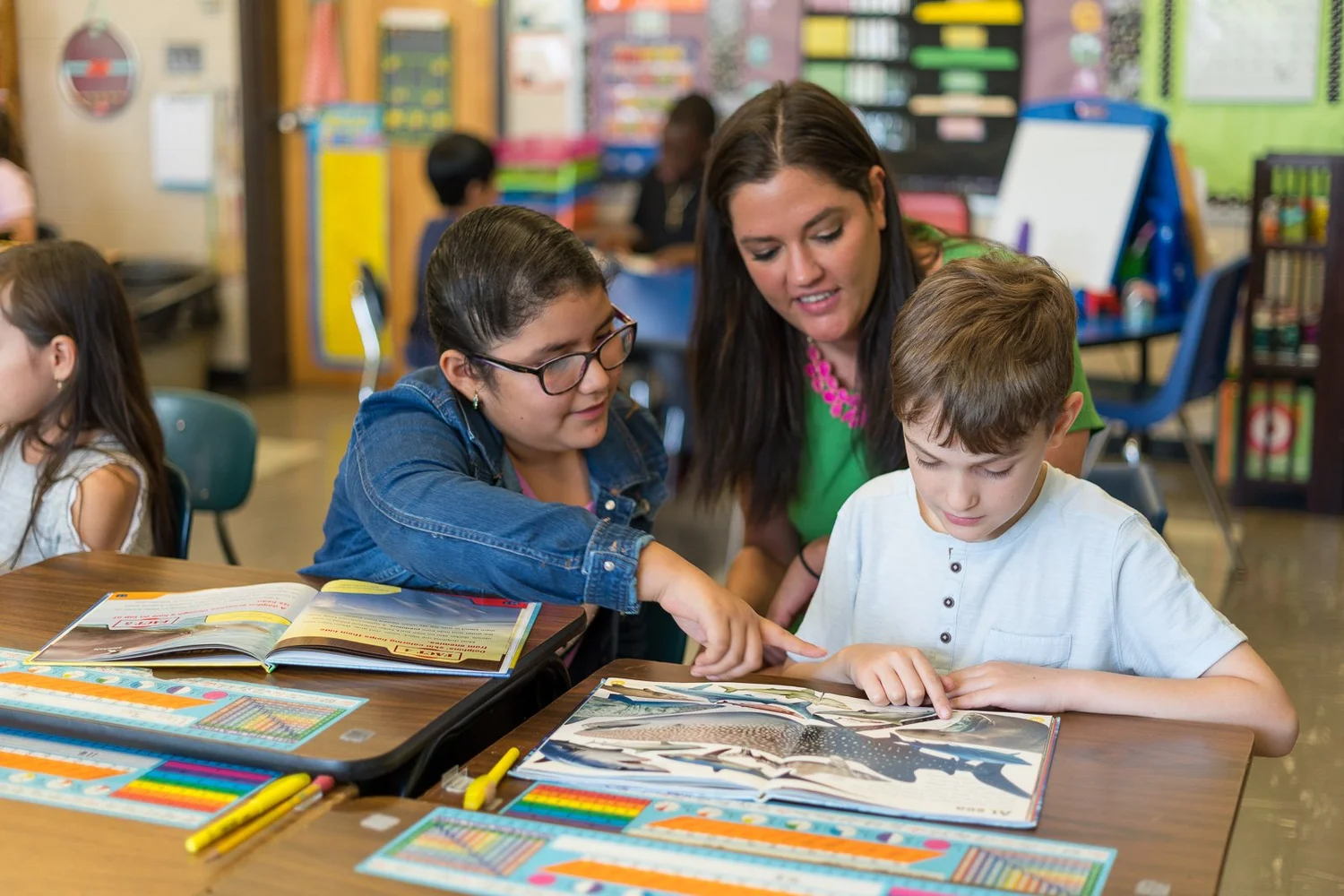 Books for Teachers | Reading Comprehension Assessments, Writing ...