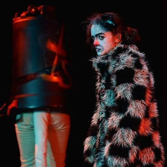 Rat Academy, The Pigeon & The Dove among big winners at Vancouver ...