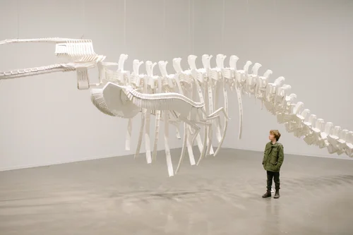 B.C. artist Brian Jungen wins $100,000 Audain Prize for the Visual Arts ...