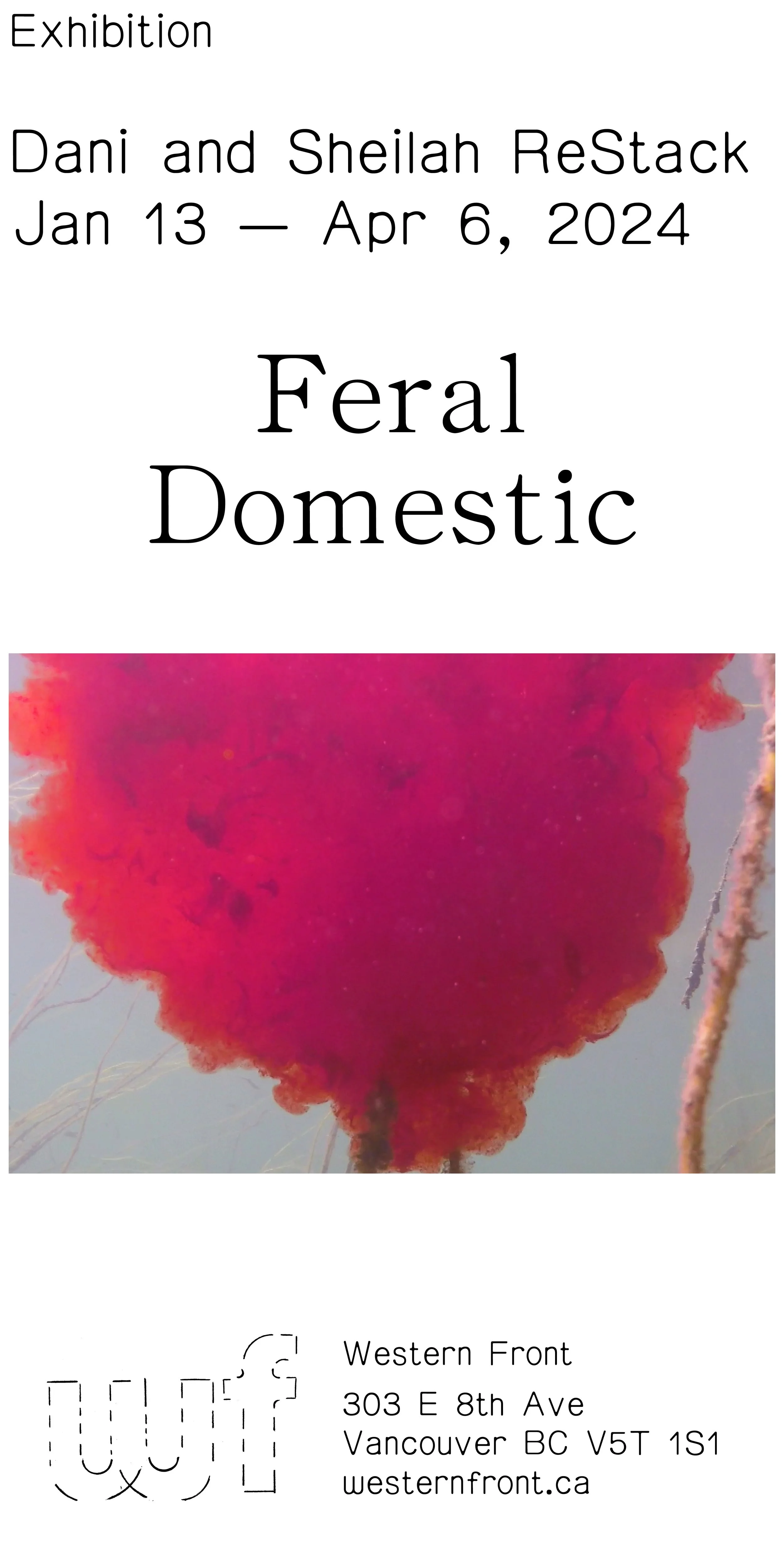 Western Front — Stir