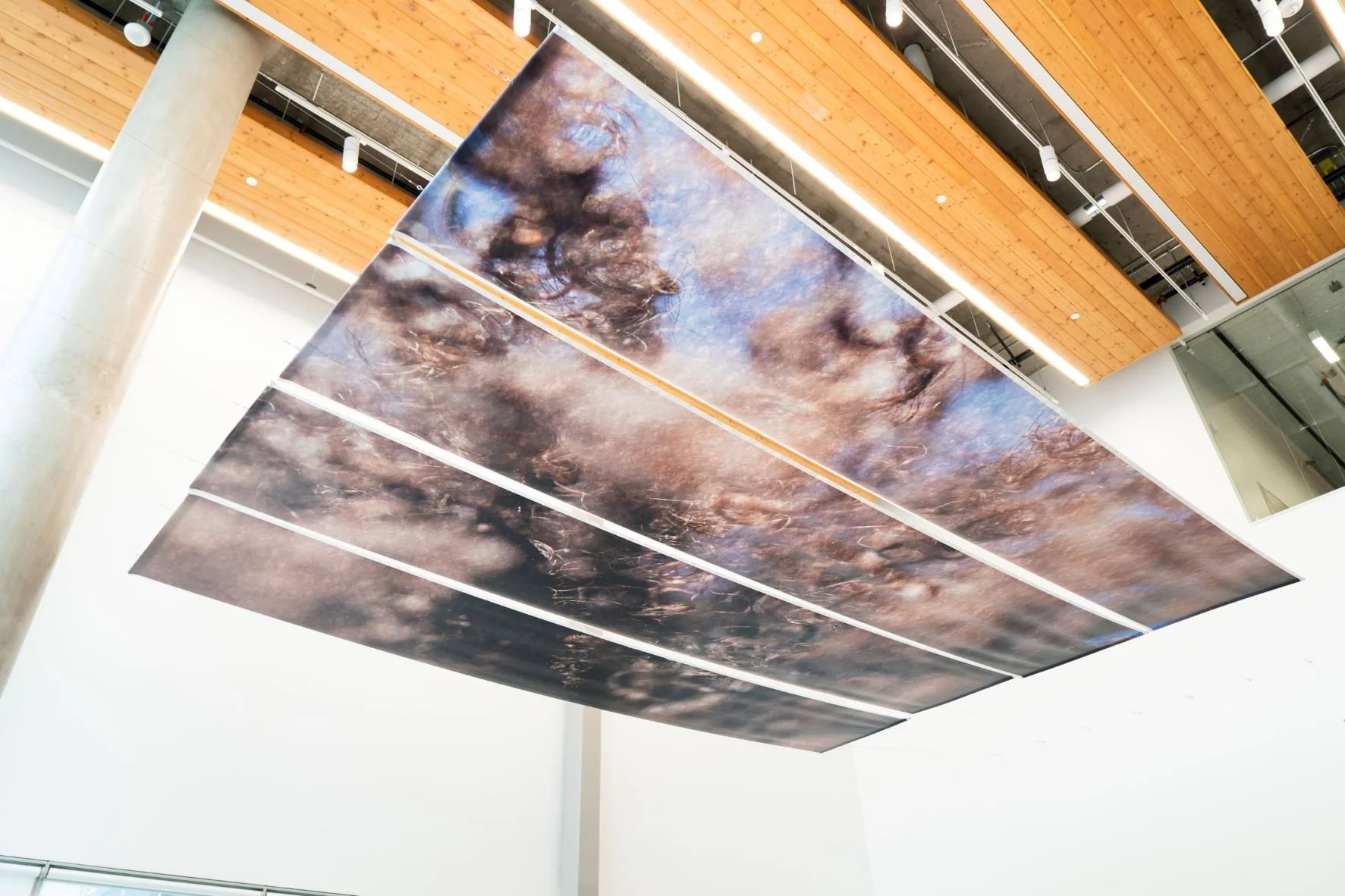Portfolio Prize awards five emerging Vancouver artists $6,000 each — Stir