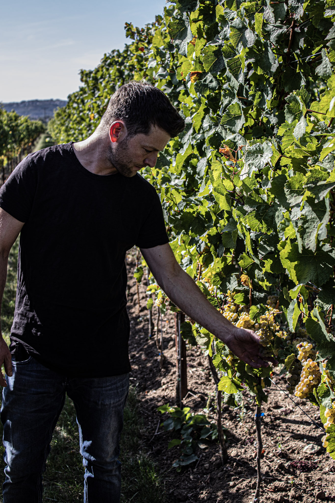 Über uns — Weingut Reibold Freinsheim