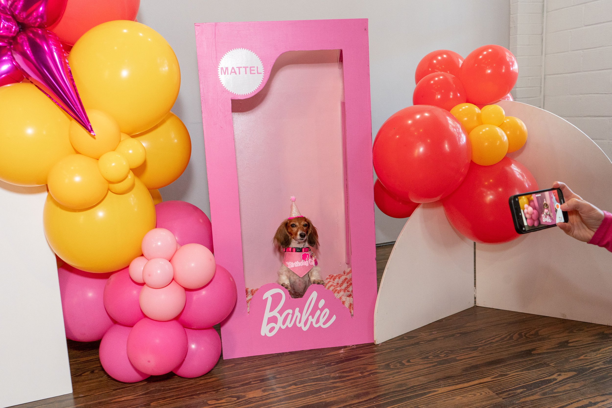 Come on Barkie let’s go Pawty — Fun and Classy Barbie Inspired Dog ...
