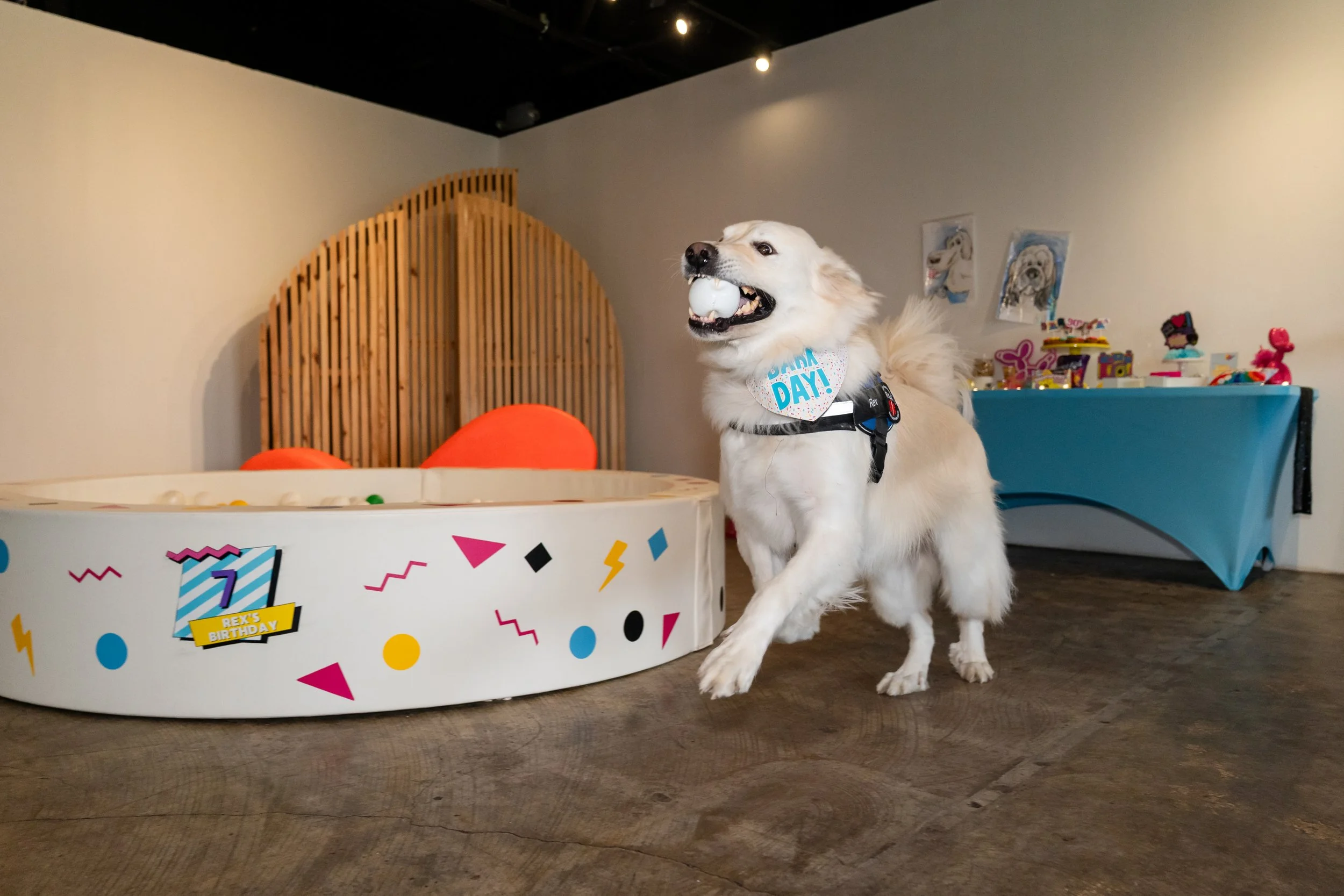 90s/2000s All That Birthday Party — The Barkday Planner