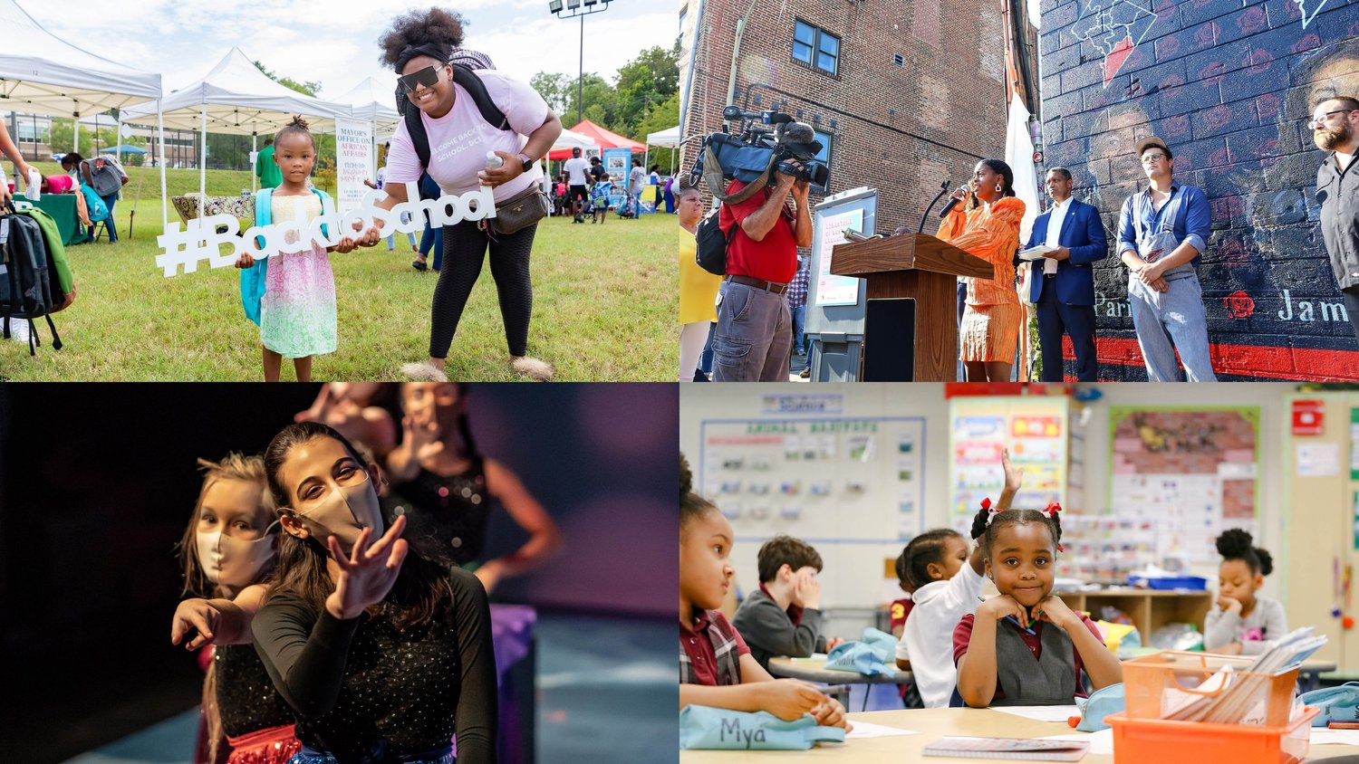 LINK Strategic Partners